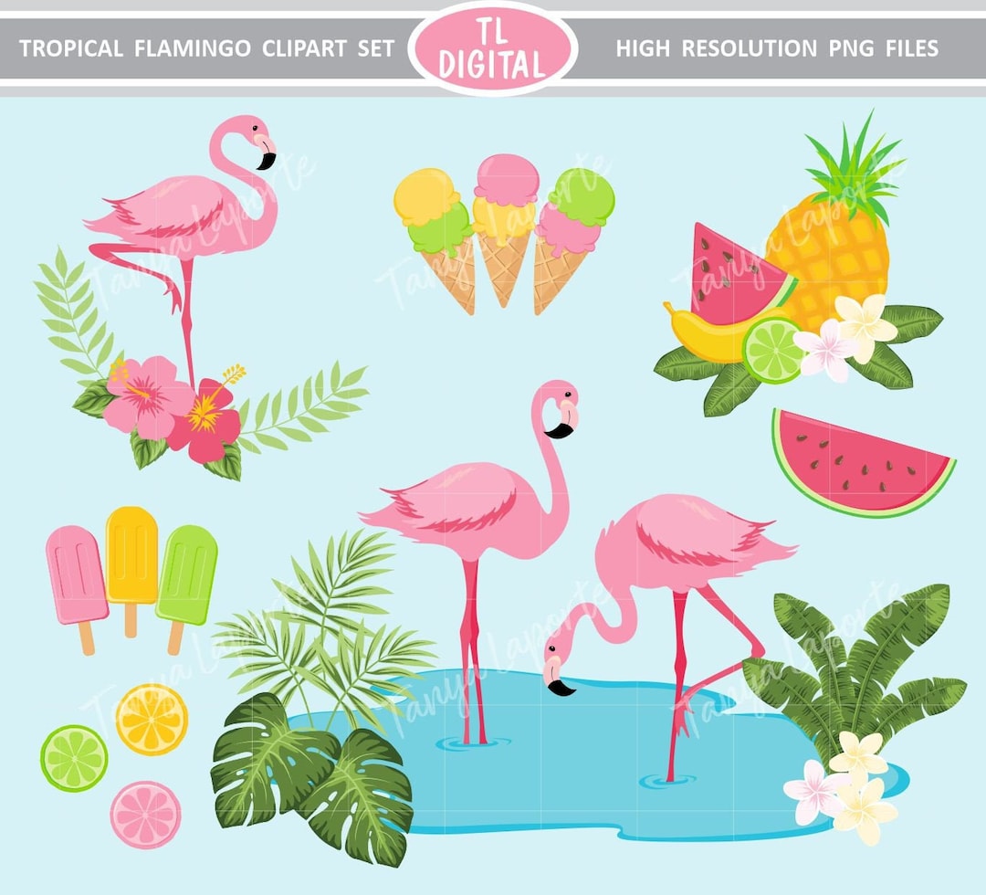 Flamingo Clipart Set - Tropical Clipart - Tutti Frutti Clipart - 30 ...