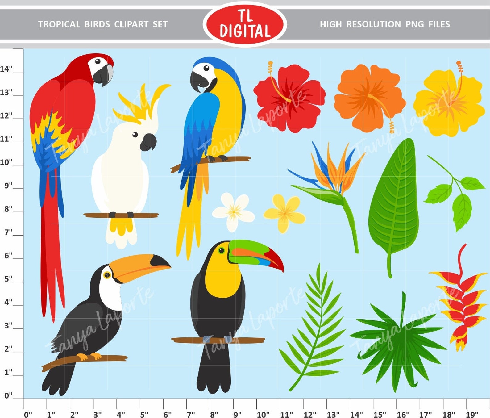 Tropical Birds Clipart Set With Tropical Flower Bouquets Red - Etsy