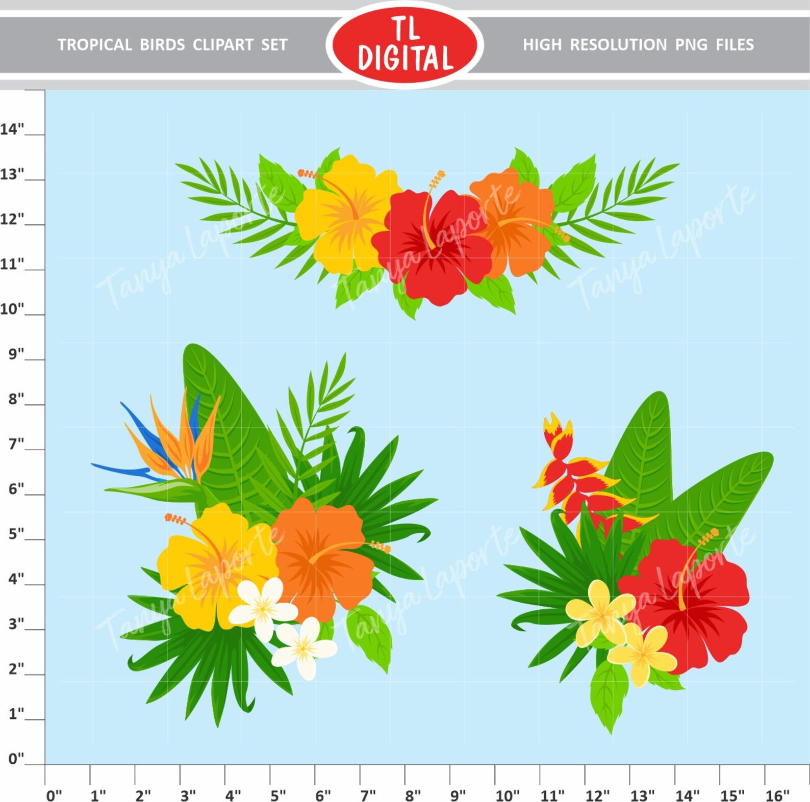 Tropical Birds Clipart Set With Tropical Flower Bouquets Red - Etsy