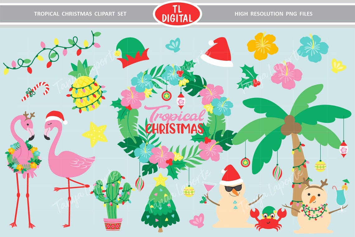 Tropical Christmas Clipart Set 28 Illustrations High - Etsy