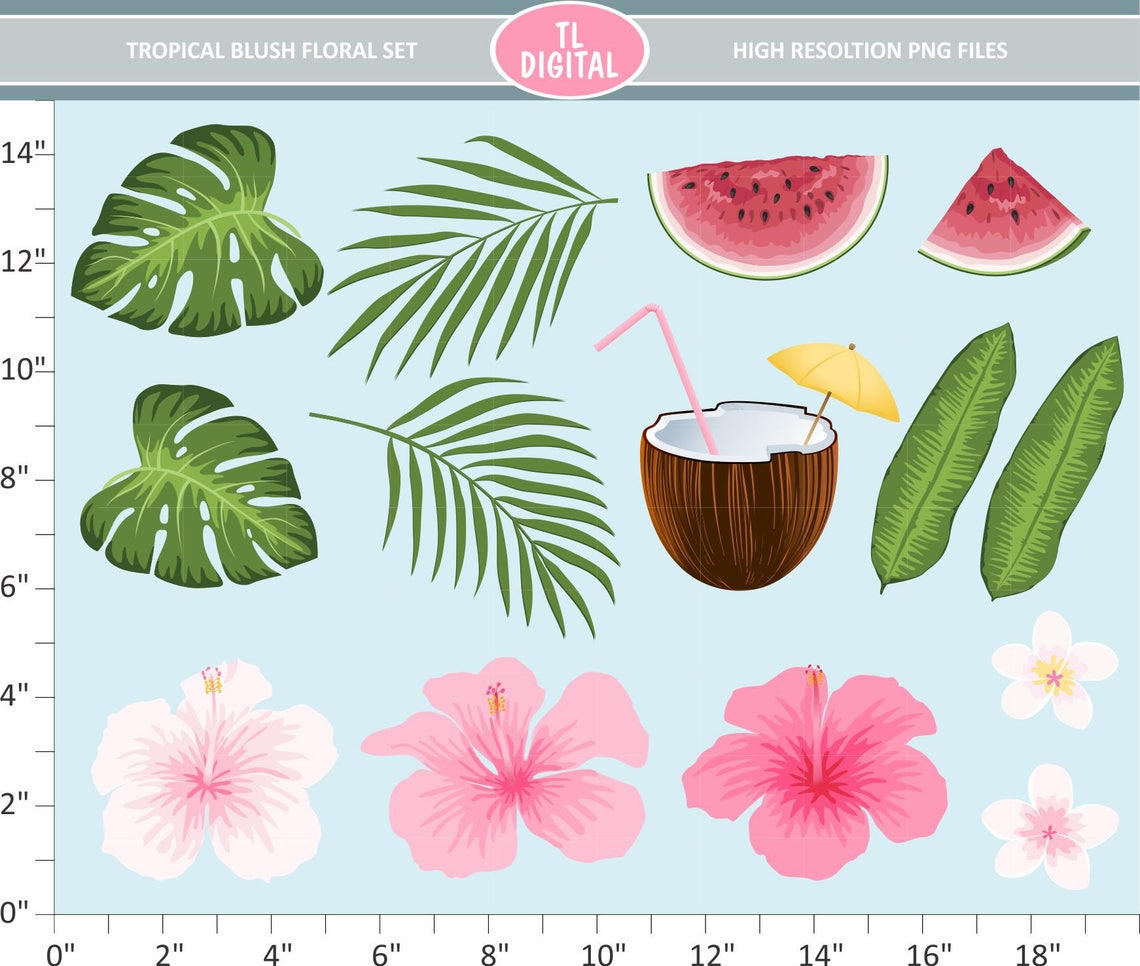 Tropical Flowers Clipart Set Tropical Blush Pink Flower - Etsy Australia