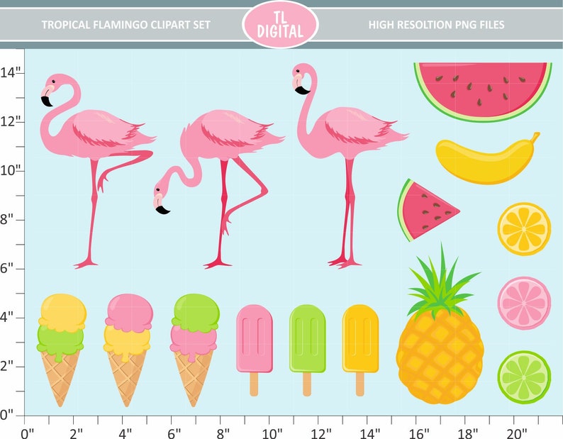 Flamingo Clipart Set Tropical Clipart Tutti Frutti Clipart - Etsy