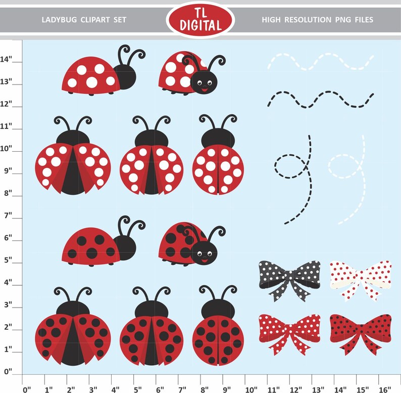 Ladybug Clipart Set Ladybird Garden Flower Set High - Etsy