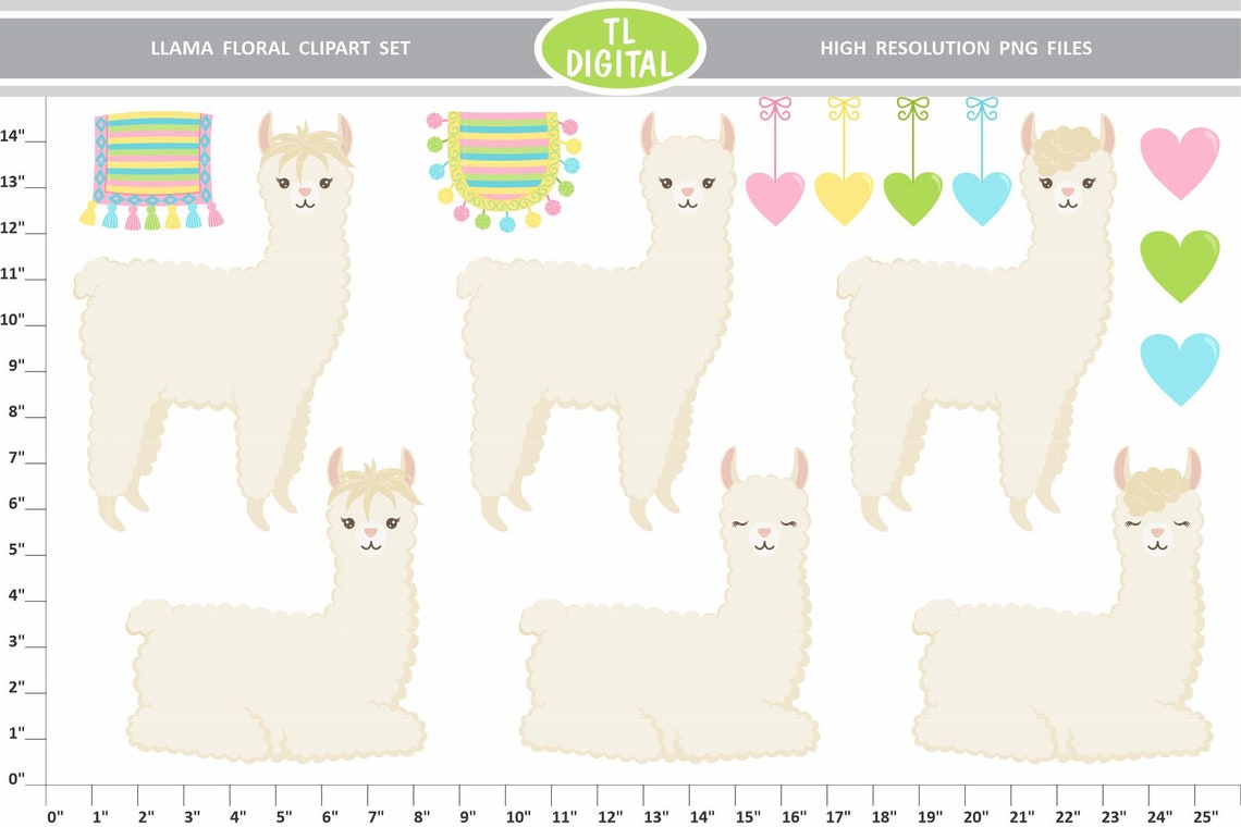 Floral Llama Clipart Set Cute Animal and Cactus Clipart Set - Etsy ...