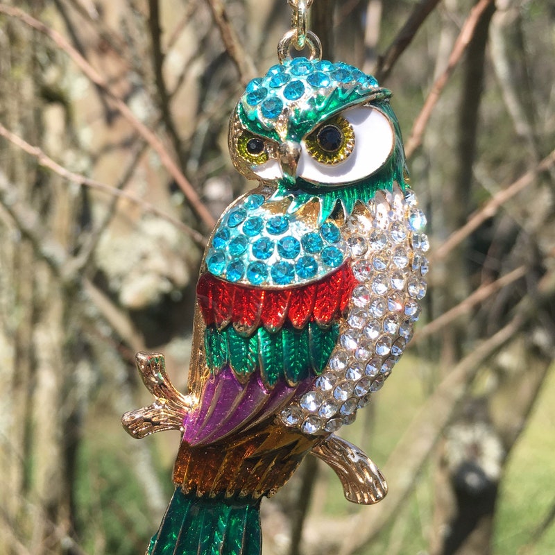 Owl Home Decor - Etsy