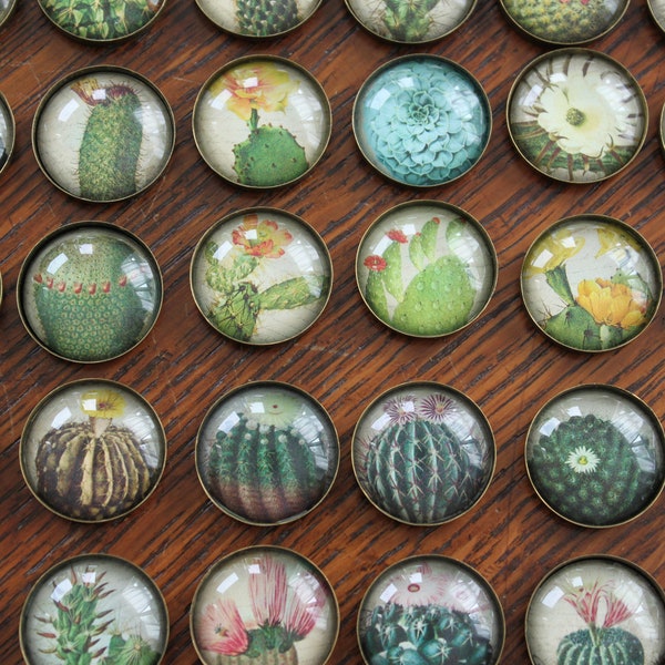 Succulent Magnet - Etsy
