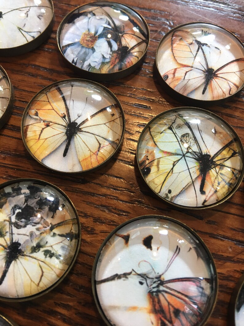 Butterfly Refrigerator Magnets File Cabinet Magnets - Etsy