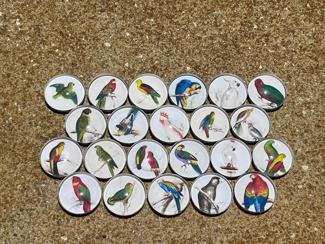 PARROT Magnet Set | Parrots | Parrot Head| Tropical Birds | Rainforest ...