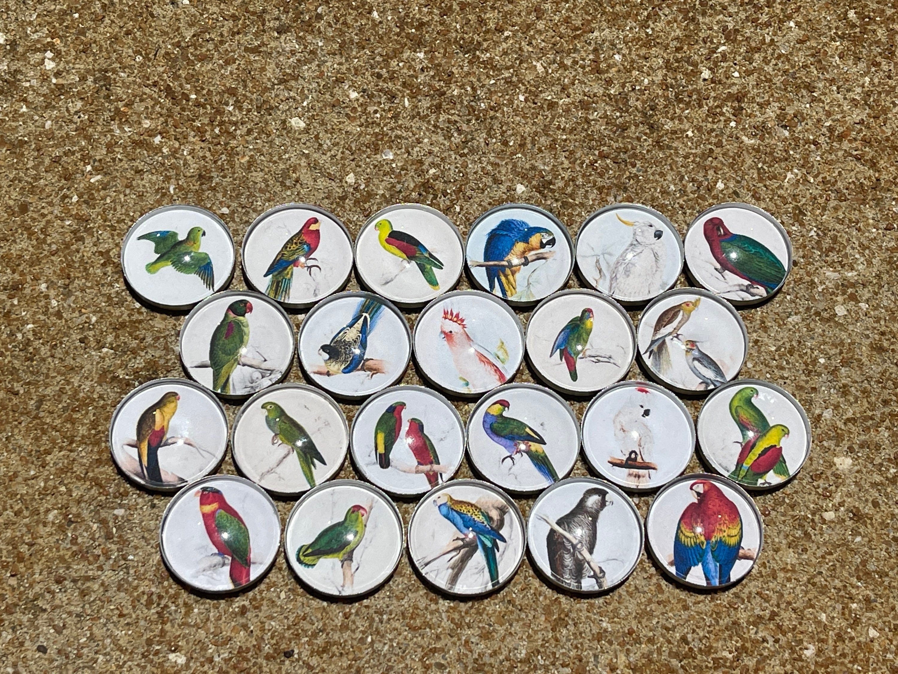 Parrot Magnet - Etsy