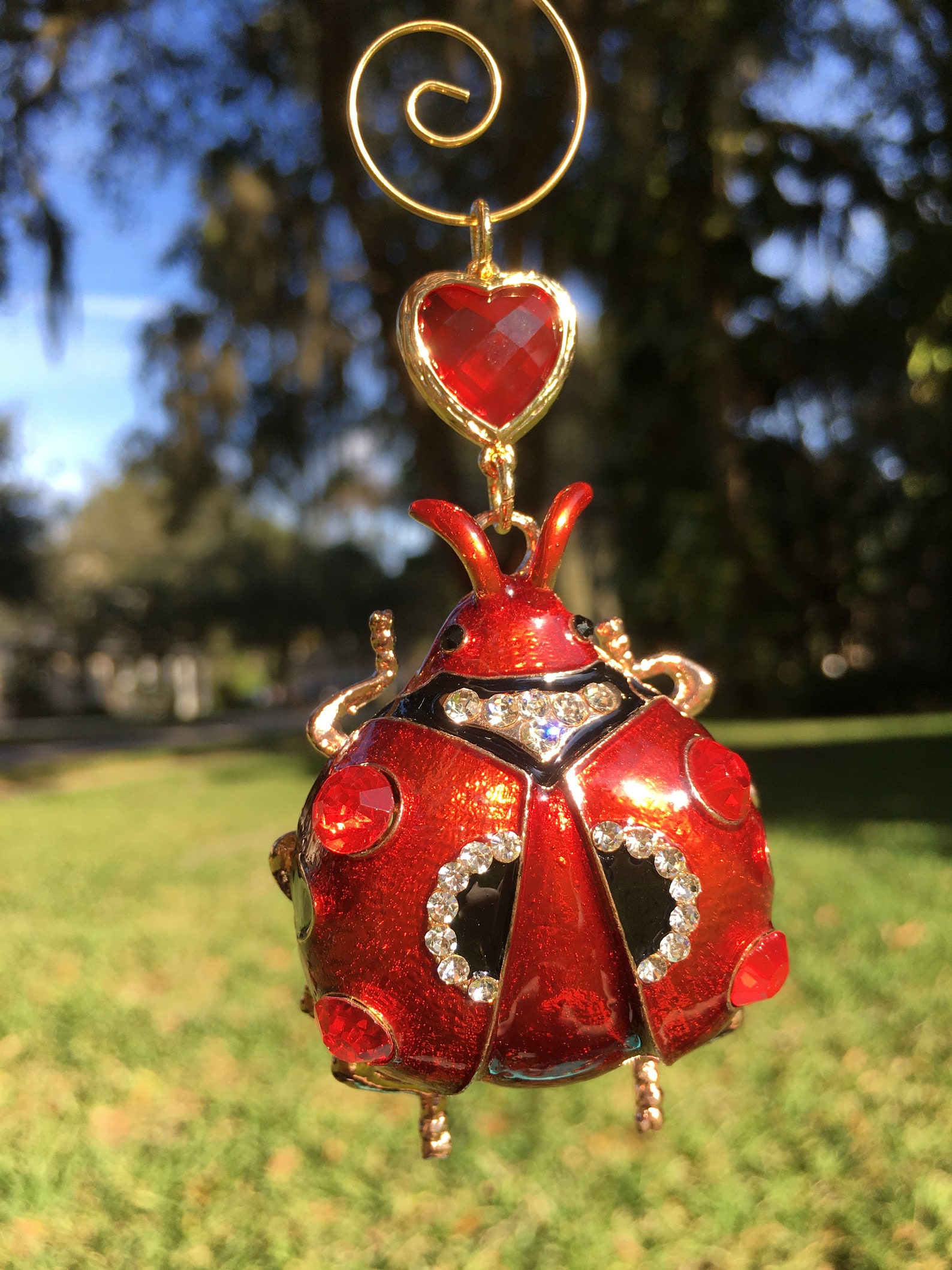 LUCKY LADY Christmas Ornament | Lady Bug Gift | Lady Bug Ornament ...