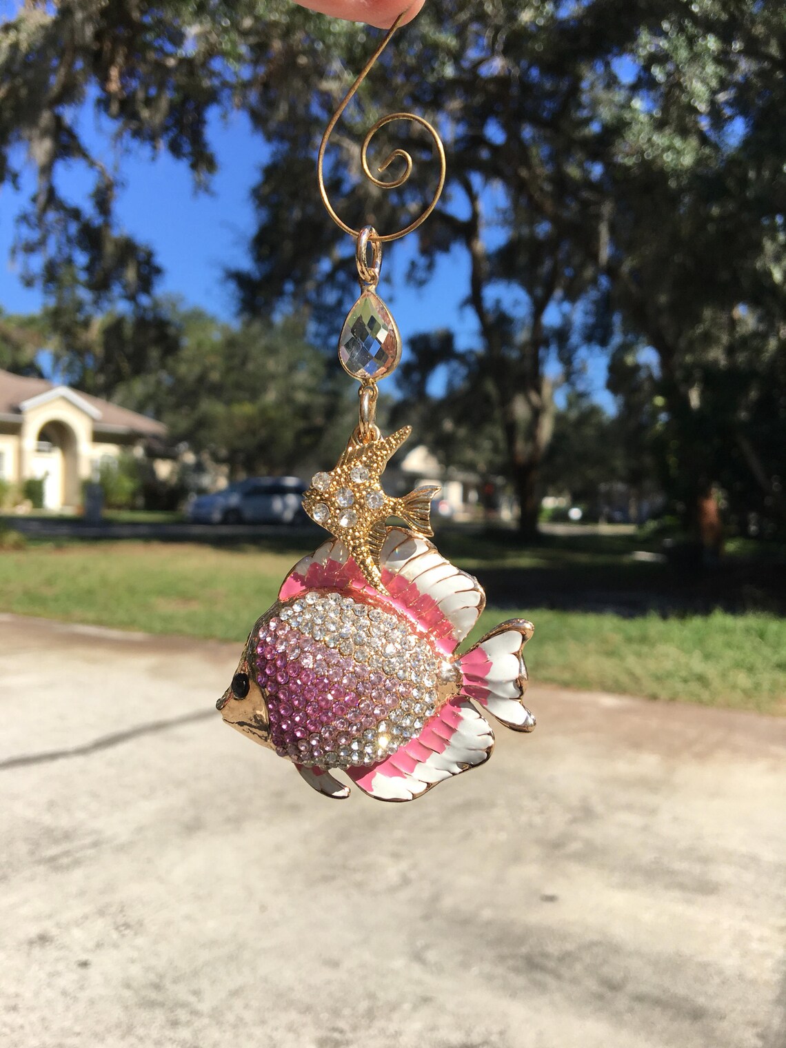 TROPIC WONDER Fish Ornament Fish Christmas Ornament Gift | Etsy