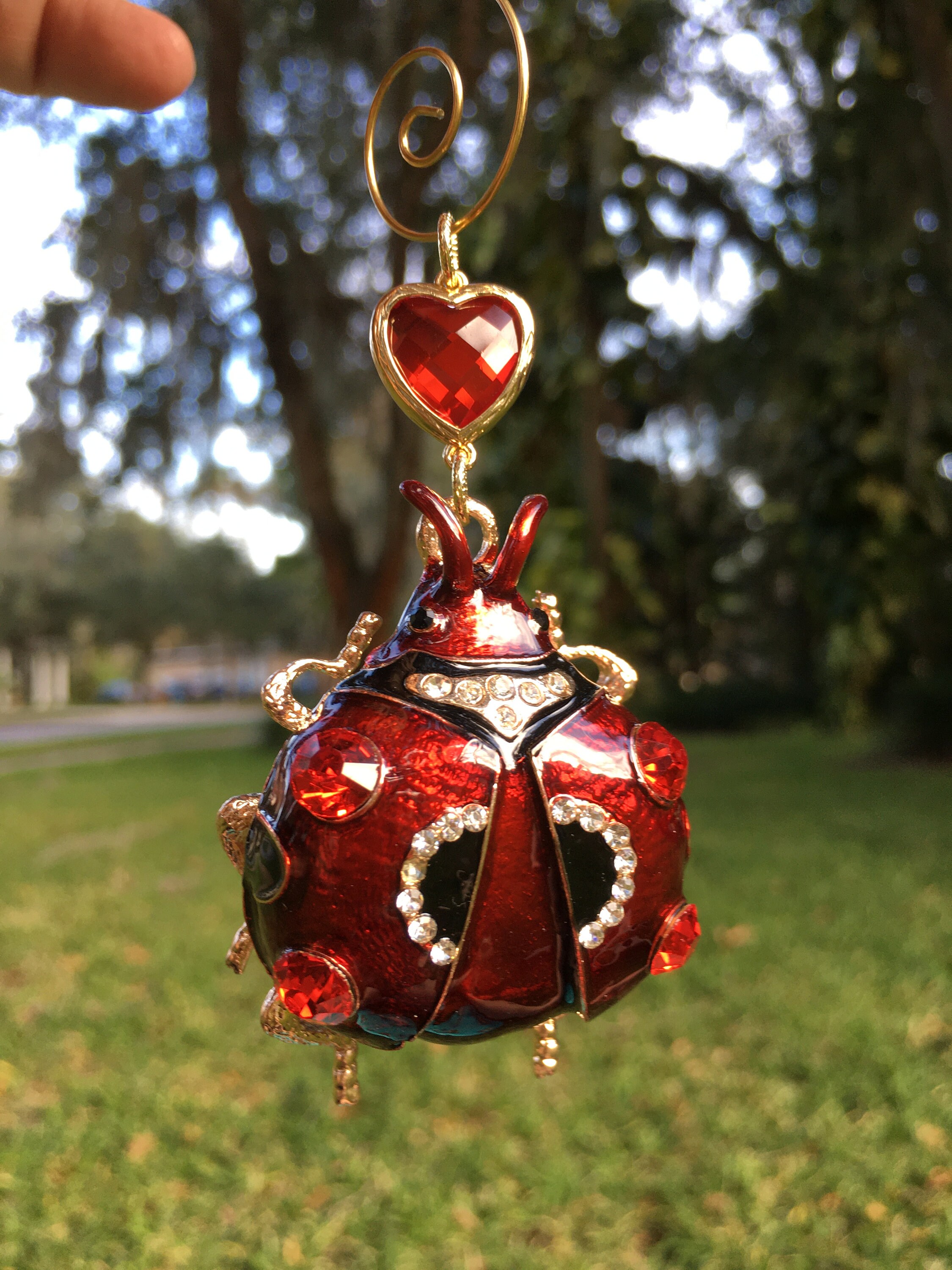 LUCKY LADY Christmas Ornament | Lady Bug Gift | Lady Bug Ornament ...