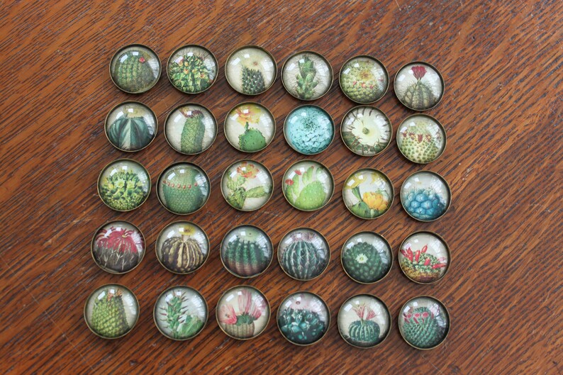 Cactus and Succulent Magnet Set Cacti Succulent | Etsy