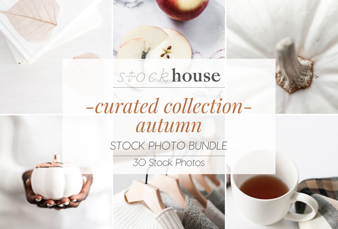 Curated Collection: Autumn Styled Stock Photo Bundle/lifestyle Social ...
