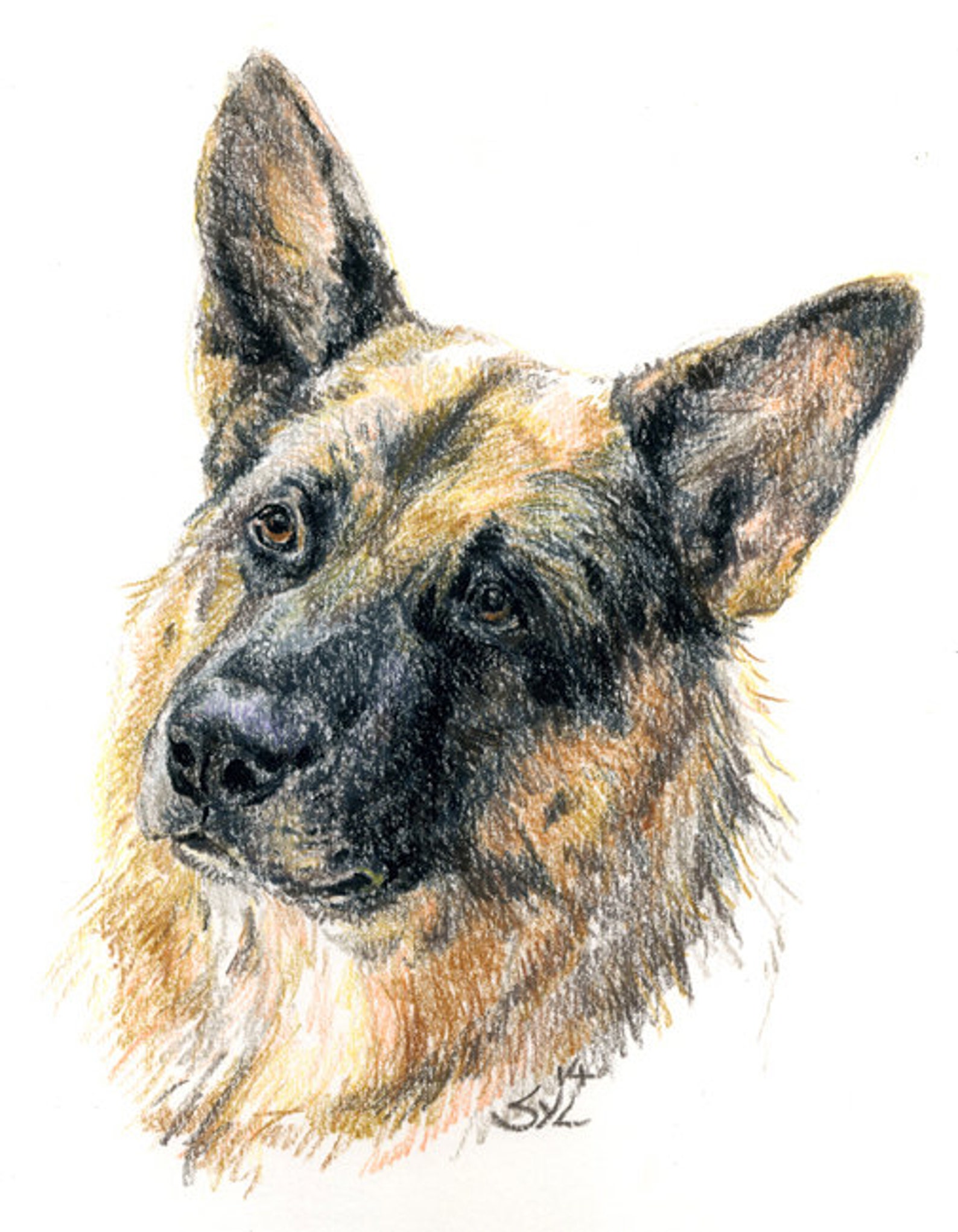 Drawing Portrait of Your Dog (A4 Size)/dessin Portrait De Votre Chien ...