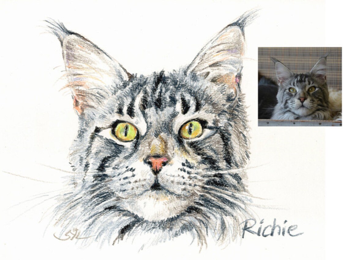 Drawing Portrait of Your Cat A4 Size/ Dessin Portrait De | Etsy