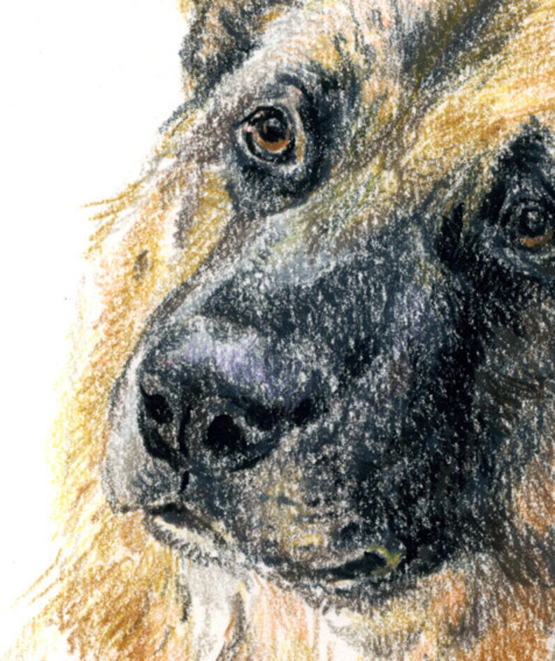 Drawing Portrait of Your Dog (A4 Size)/dessin Portrait De Votre Chien ...