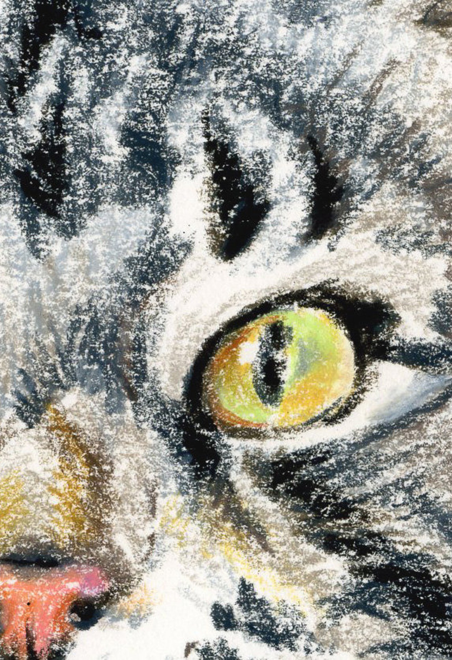 Drawing Portrait of Your Cat (A4 Size)/ Dessin Portrait De Votre Chat ...