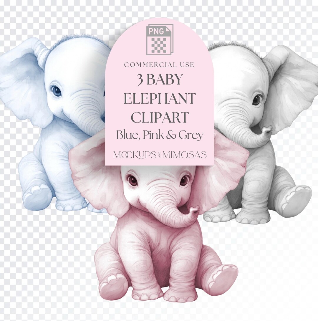 Baby Elephant Clipart. Pink, Grey and Blue. PNG. - Etsy
