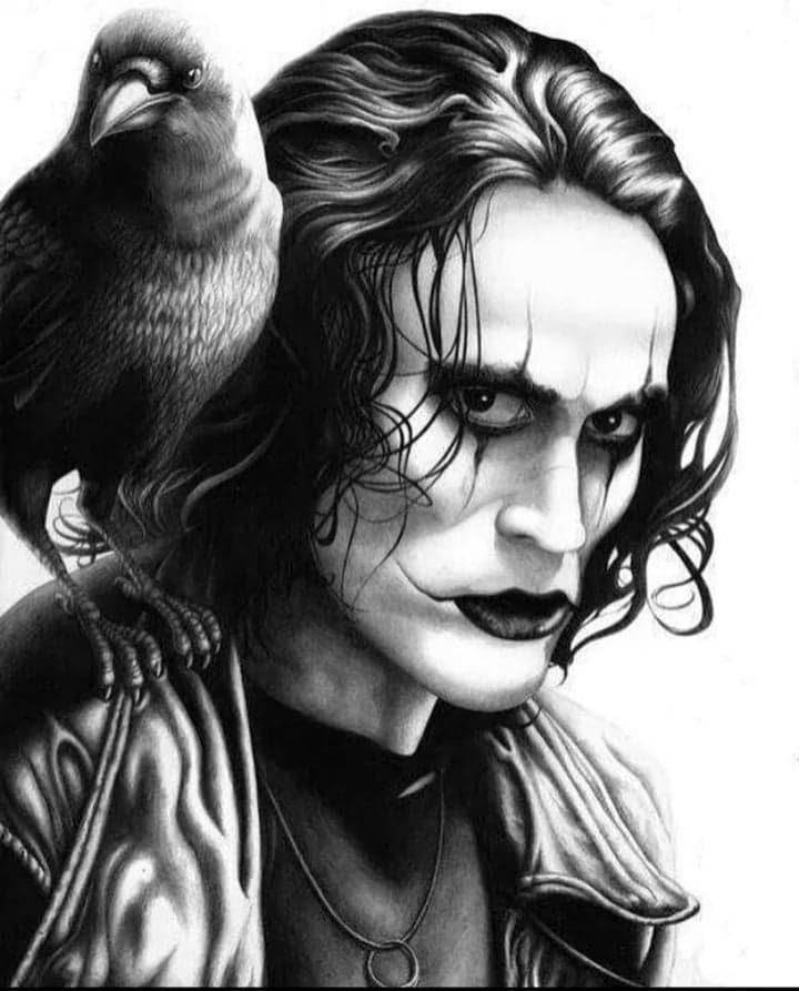 The Crow Pin/button - Etsy