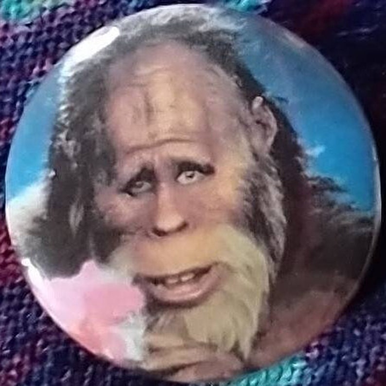Harry and the Henderson's Pinback - Etsy