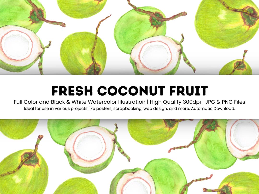 Watercolor Coconut PNG Tropical Fruit Illustration Clipart Coconut ...