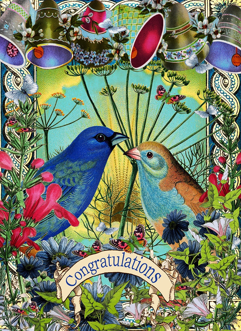 Beautiful 'love Birds' Congratulations Card, Blank for Your Own Message ...