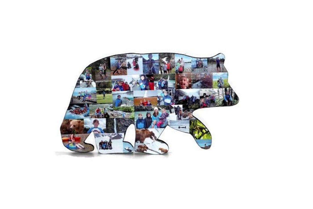 Bear Cut Out With Photos, Bear Collage, Hand Cut Bear Shape, Cut Out ...
