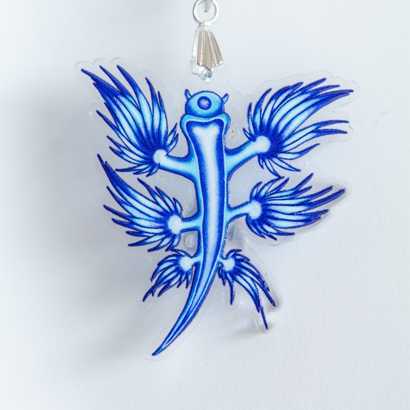Blue Sea Dragon - Etsy