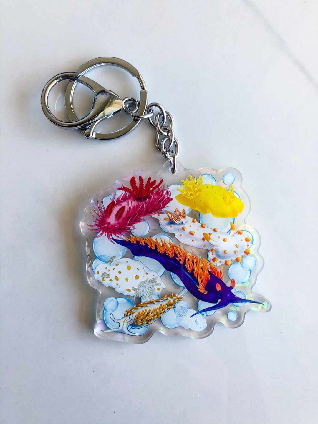 Nudibranchs of the Pacific Northwest Keychain, Sea Slug Key Chain, Gift ...