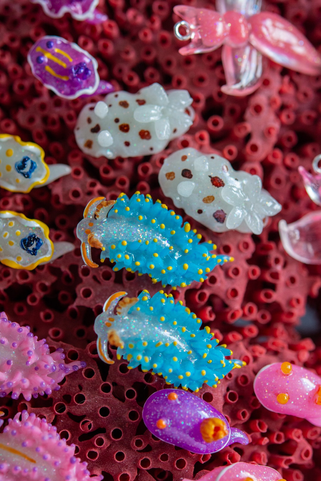 Berghia Coerulescens, the Anemone Sea Slug, Glow in the Dark Nudibranch ...