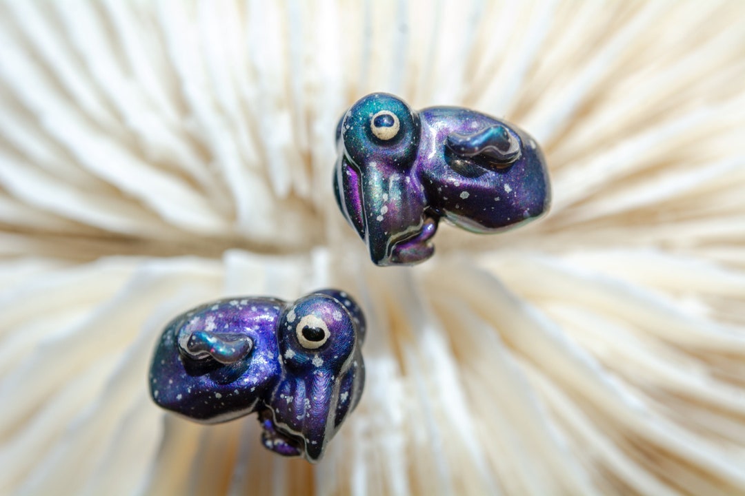 MOOD Changing Nebula Cuttlefish, Bob Tail Squid, Cephalopod Earrings ...
