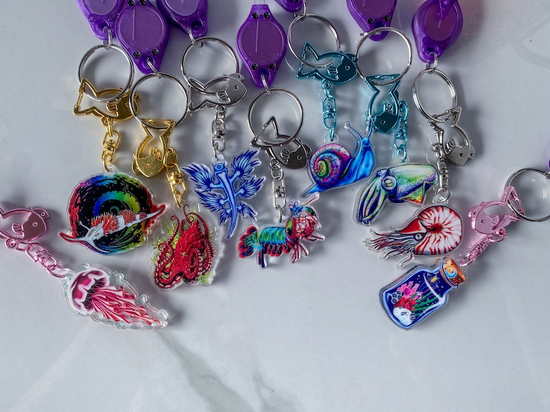 Mix and Match UV Light Keychains With Limited Edition Fish - Etsy