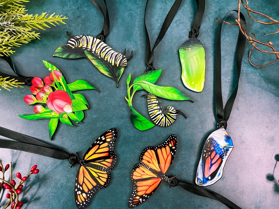 Extended Monarch Collection, Monarch Life Cycle Ornaments, Danaus ...