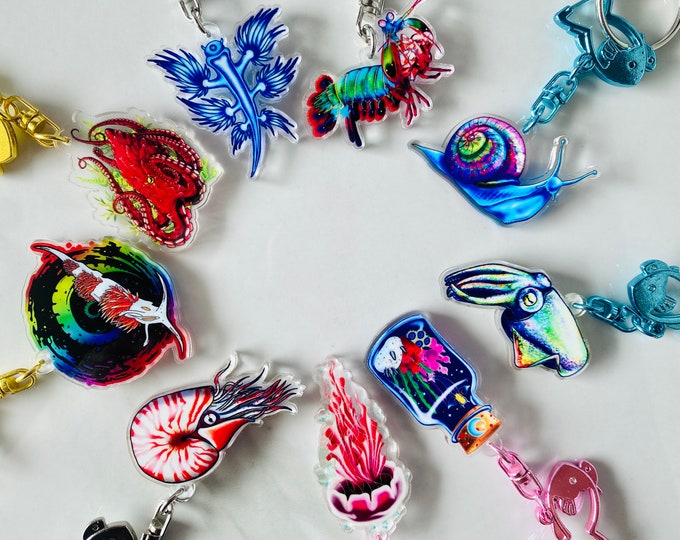 Mix and Match UV Light Keychains With Limited Edition Fish Clasps ...