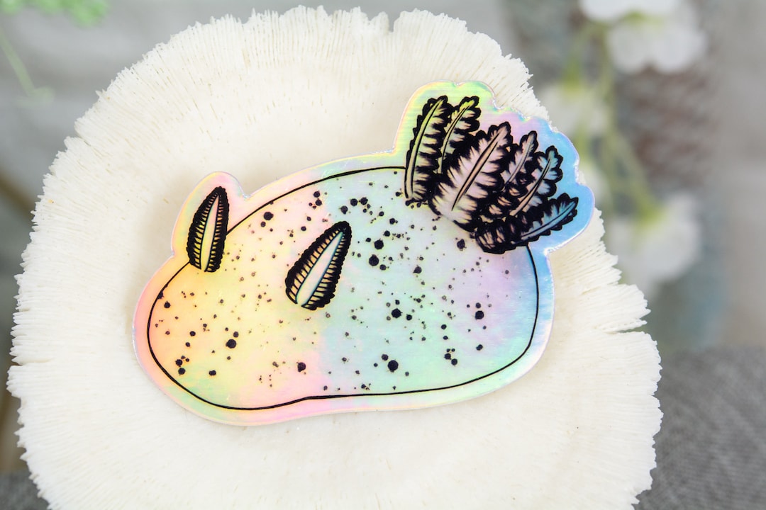 Holographic Rainbow Jorunna Parva, Sea Bunny Nudibranch, Weather ...