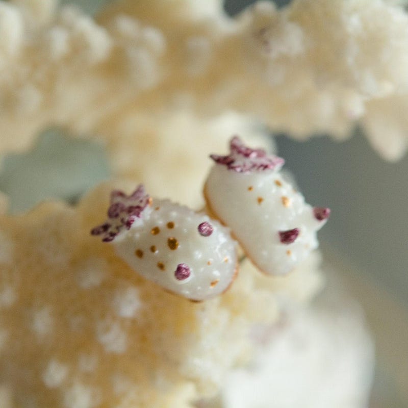 Nudibranch - Etsy