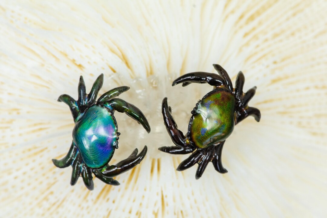 Mood Color-changing Crab Earrings: Titanium Posts, Handmade - Etsy