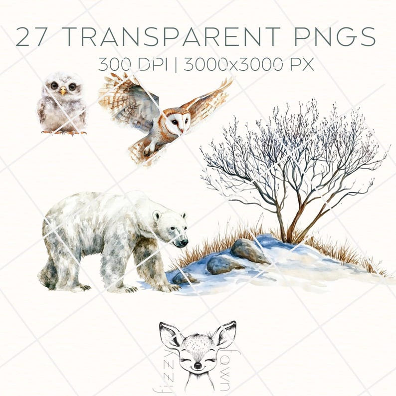Arctic Animals Clipart Pack | Winter Baby Animal | Polar Bear Puffin ...