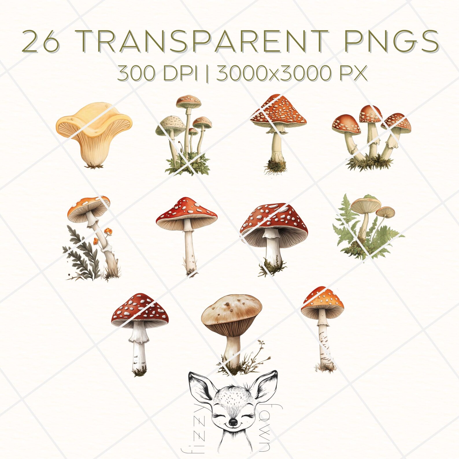 Botanical Mushrooms Clipart Pack | Fungi and Fern Illustrations in ...