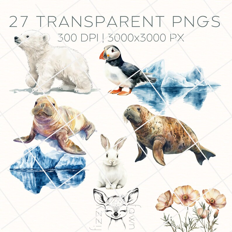 Arctic Animals Clipart Pack | Winter Baby Animal | Polar Bear Puffin ...