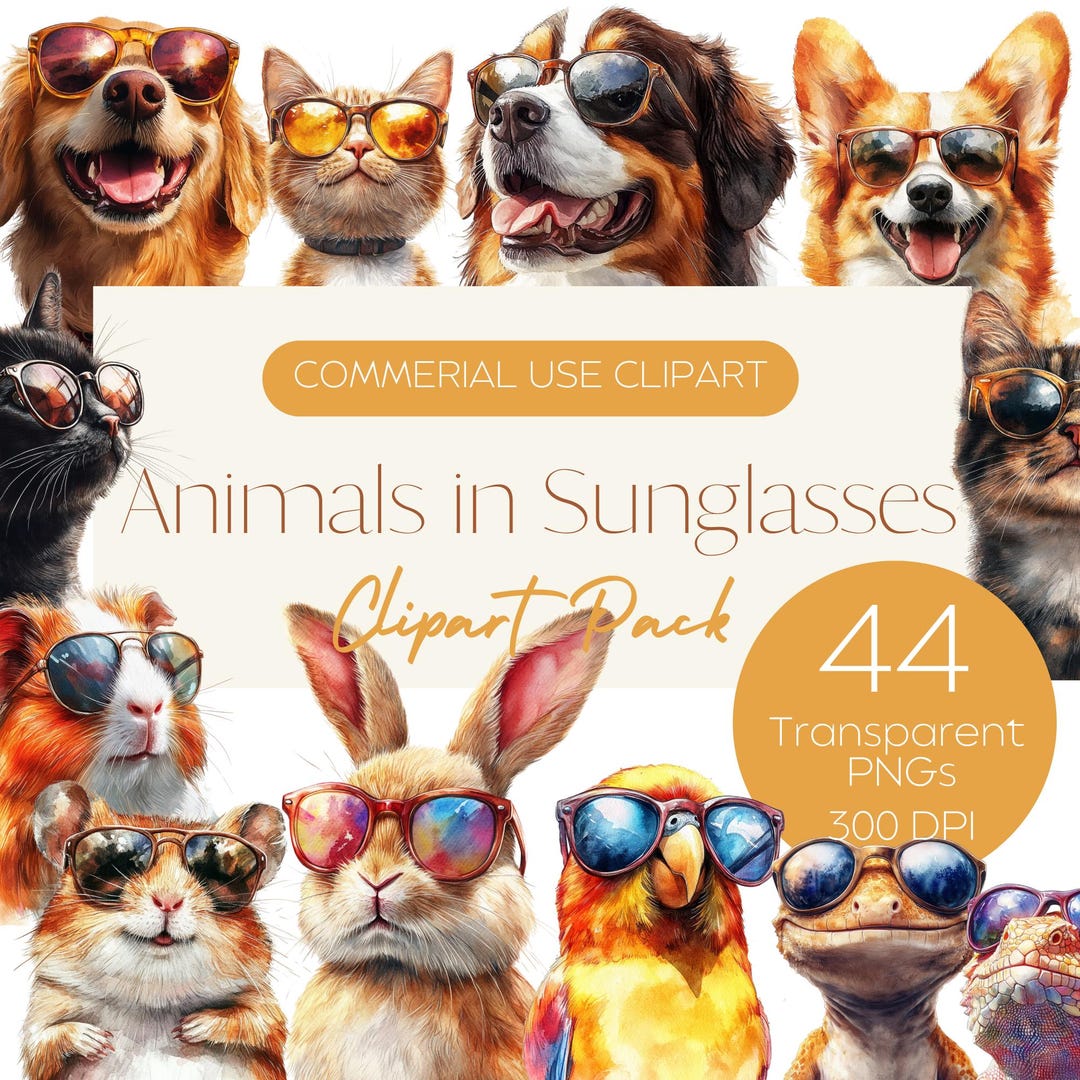 Animals in Sunglasses Clipart Pack | Adorable and Funny | Dog Cat Bird ...