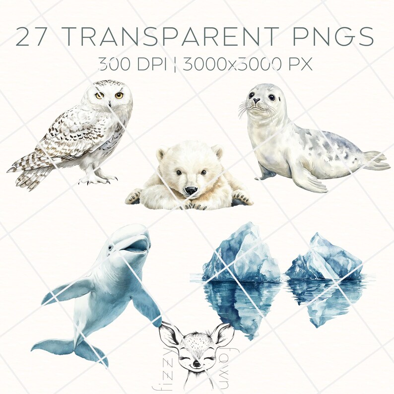 Arctic Animals Clipart Pack | Winter Baby Animal | Polar Bear Puffin ...