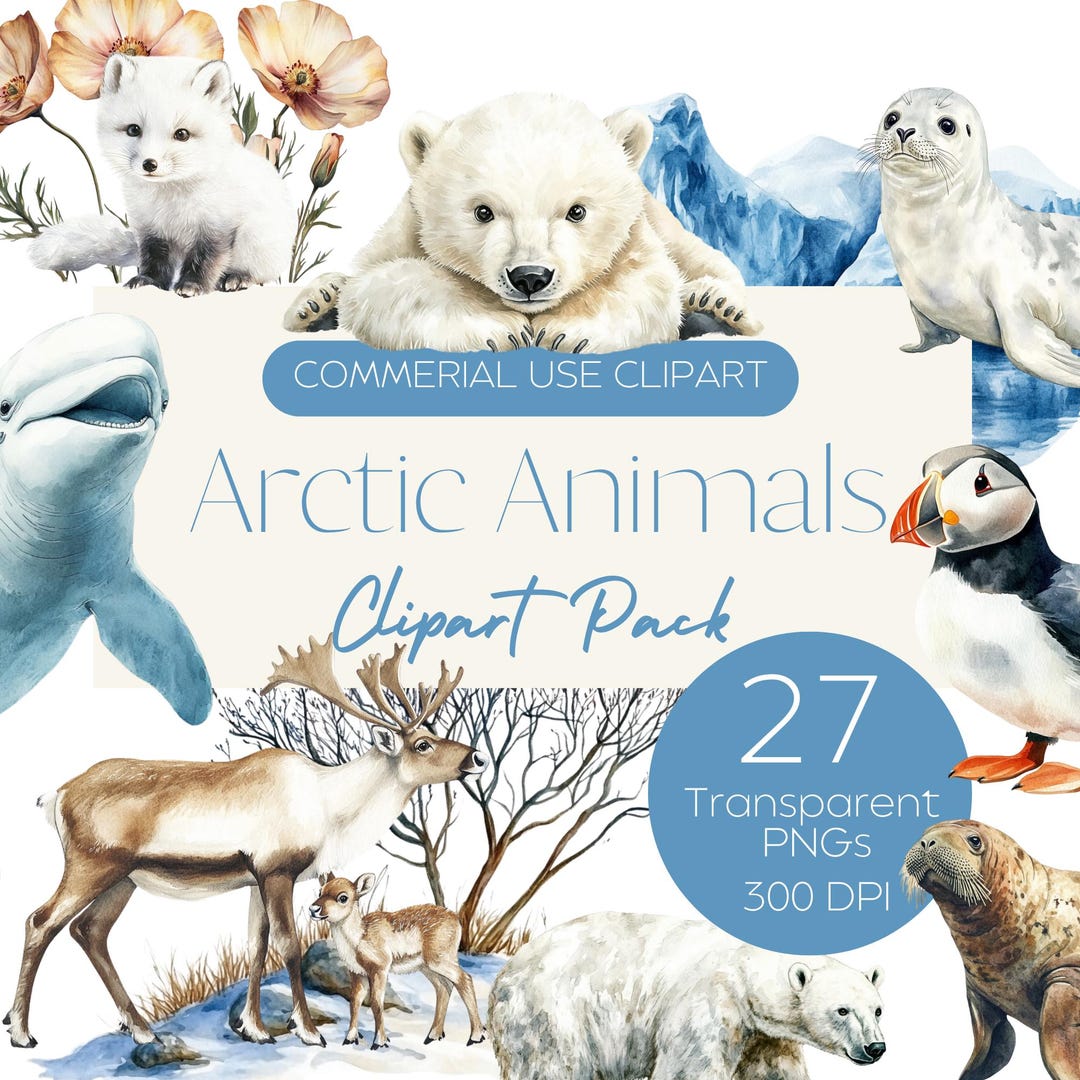 Arctic Animals Clipart Pack | Winter Baby Animal | Polar Bear Puffin ...