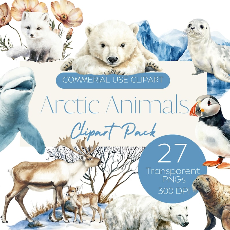 Arctic Animals Clipart Pack | Winter Baby Animal | Polar Bear Puffin ...