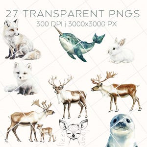 Arctic Animals Clipart Pack | Winter Baby Animal | Polar Bear Puffin ...