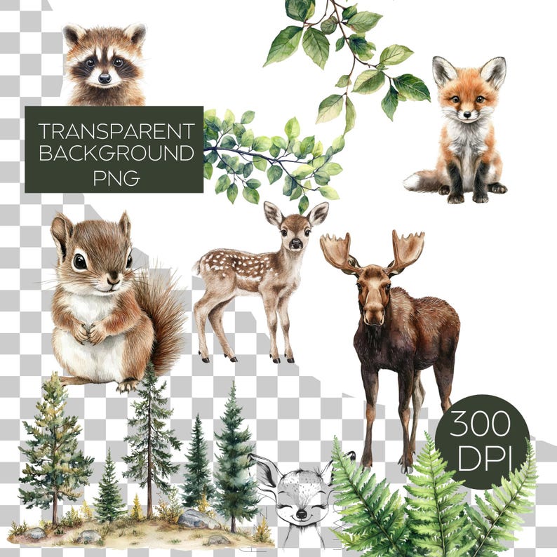Woodland Life Clipart Pack | Animals Baby Animals Foliage | Forest ...