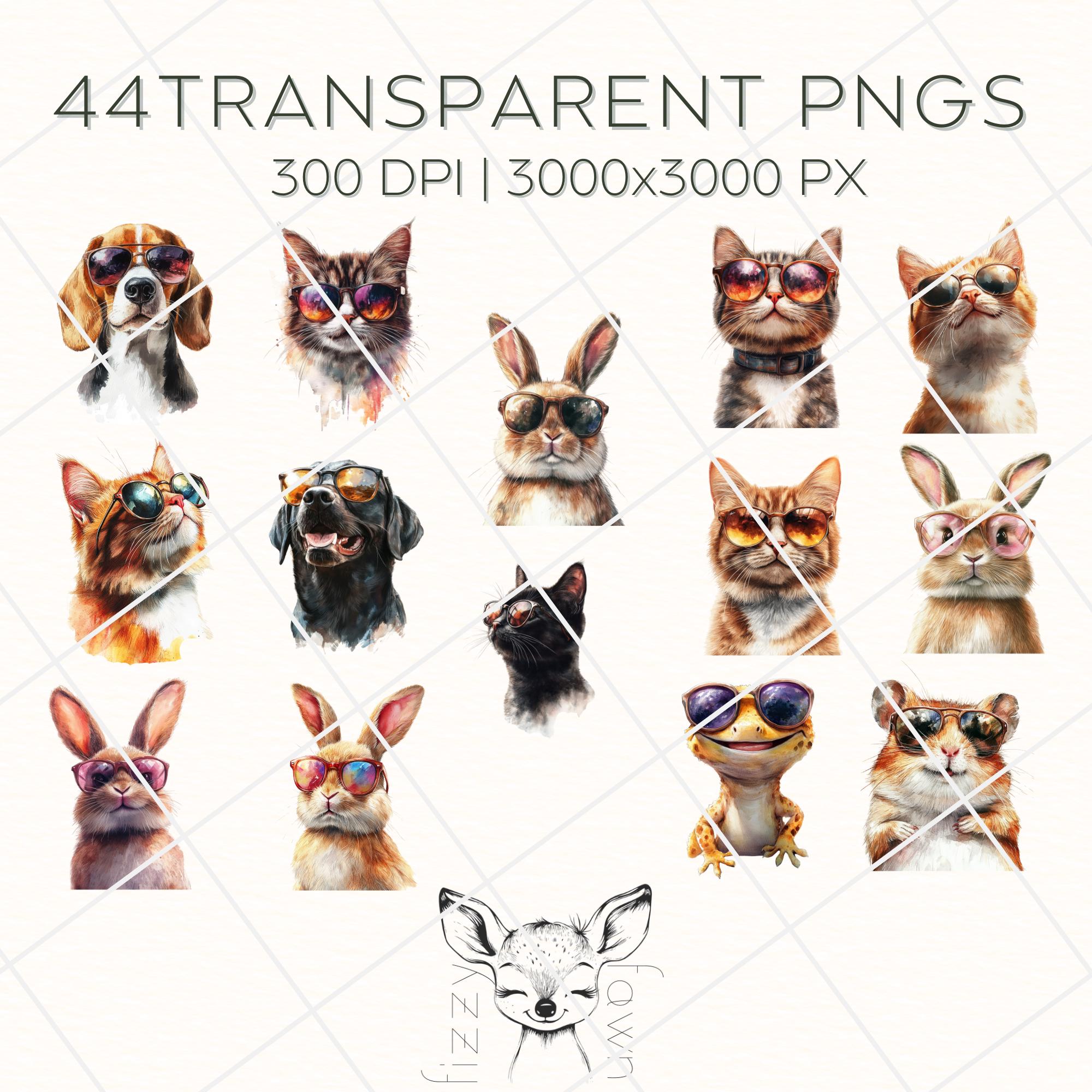 Animals in Sunglasses Clipart Pack | Adorable and Funny | Dog Cat Bird ...