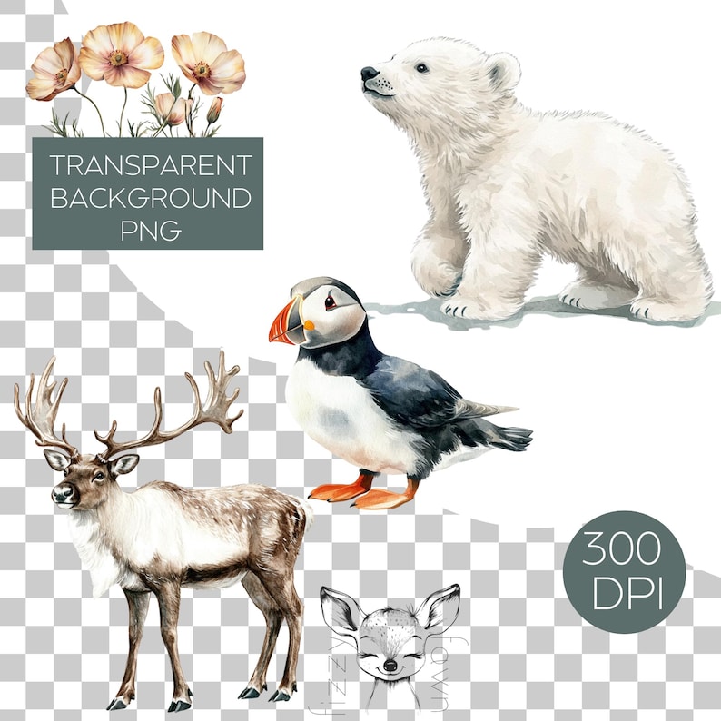Arctic Animals Clipart Pack | Winter Baby Animal | Polar Bear Puffin ...