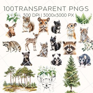 Woodland Life Clipart Pack | Animals Baby Animals Foliage | Forest ...